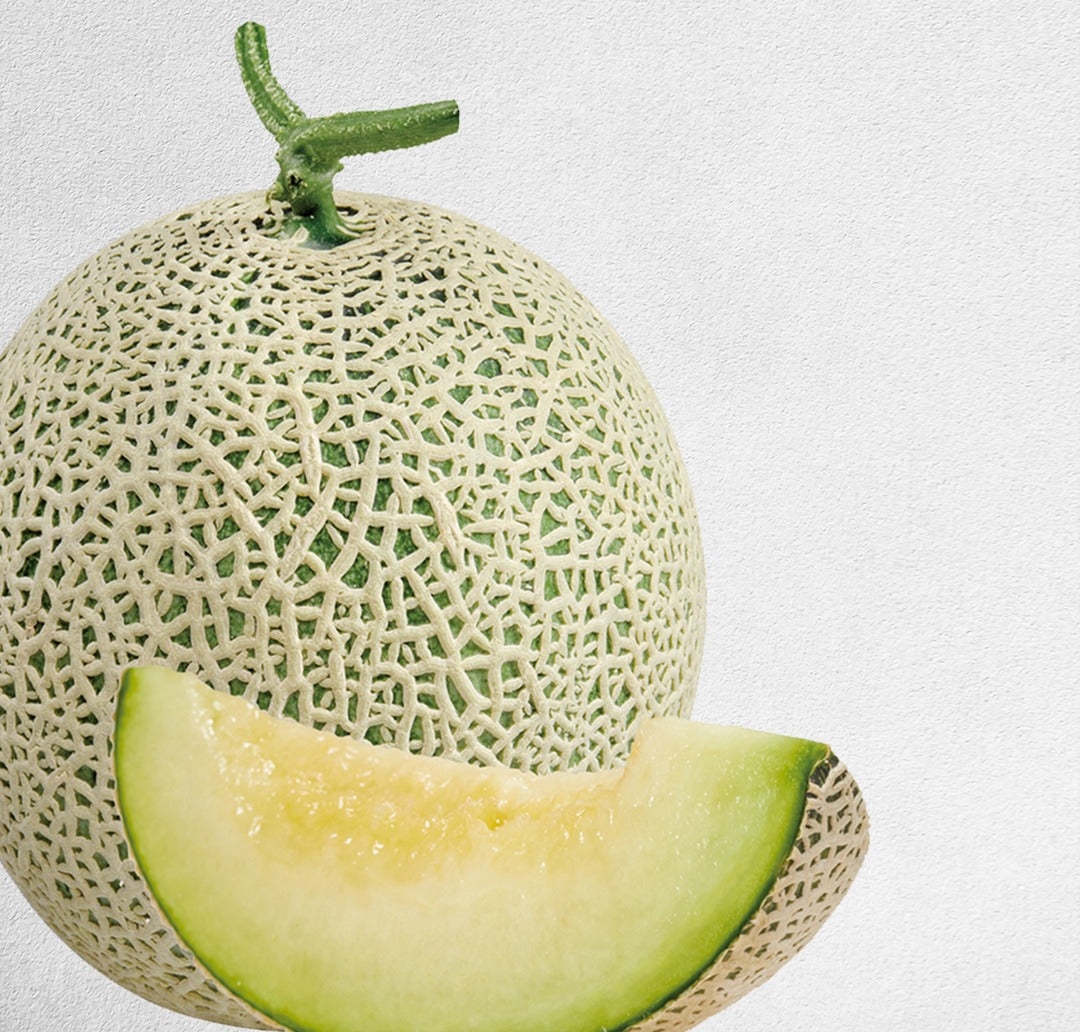 Japanese Musk Melon – Tsukiji ID